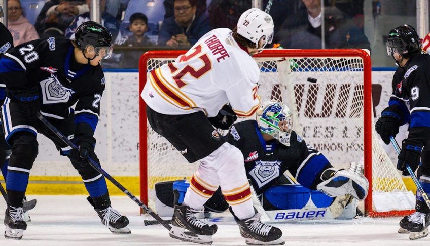 Habs Sign Tyler Thorpe – HabsWorld.net